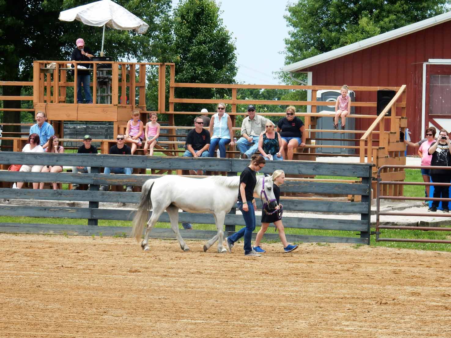 Activities – Double Eagle Ranch Stables and Horse Boarding