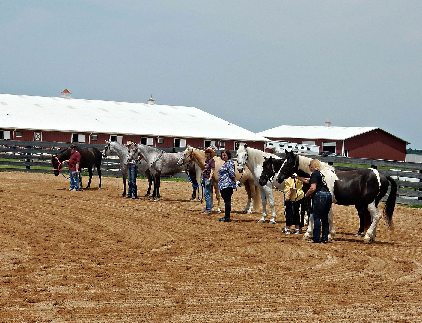 Activities – Double Eagle Ranch Stables and Horse Boarding