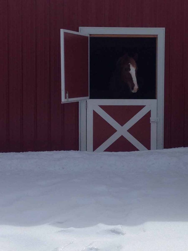 Horse Boarding / Stables – Double Eagle Ranch Stables and Horse Boarding